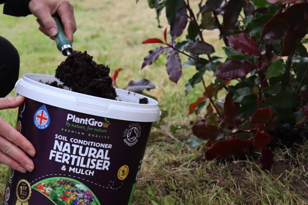 PlantGrow Natural Soil Conditioner - PlantGrow