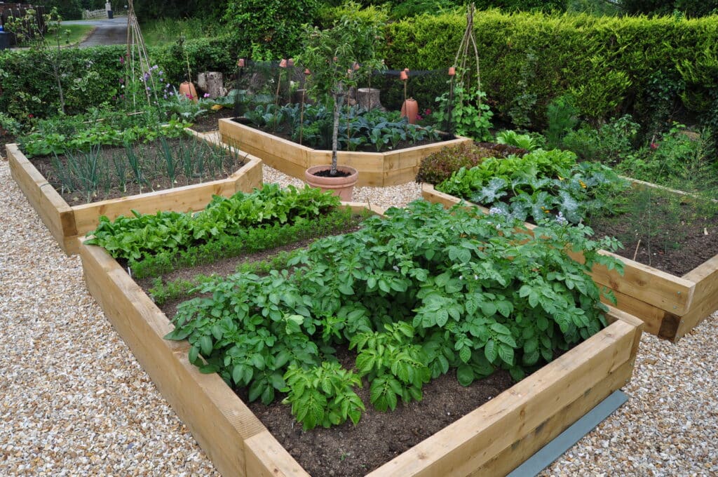 Case Studies Archive - PlantGrow